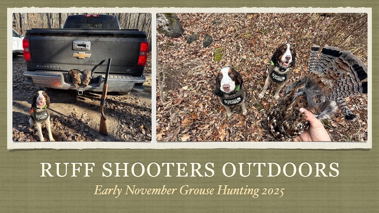 Chasing the King! November Ruffed Grouse Hunting 2025 (Wisconsin Public ...