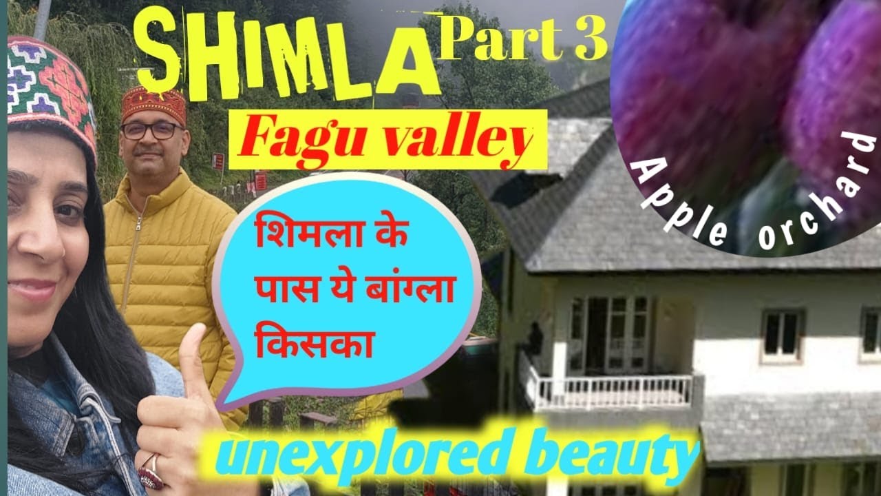 fagu worth visiting/place near shimla/apple bagh/helipad/rashtrapati ...