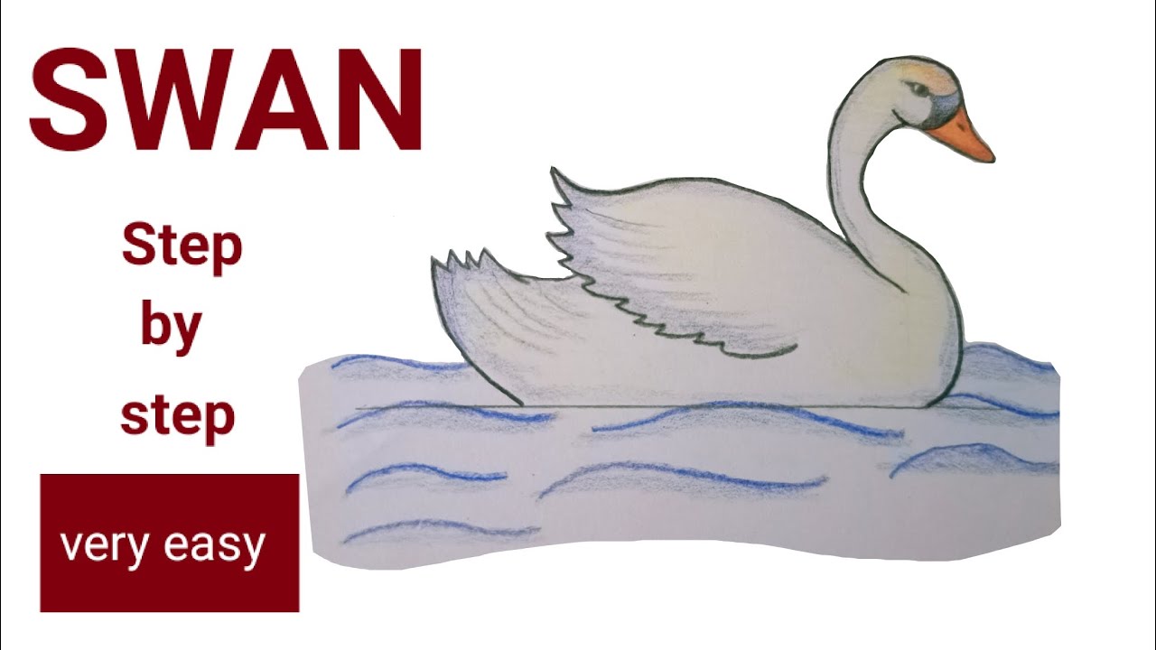 How to draw a Swan step by step (very easy) || drawing || art video ...