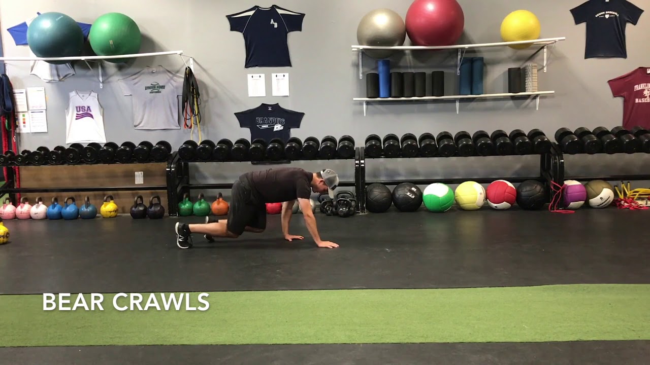Bear Crawls - YouTube