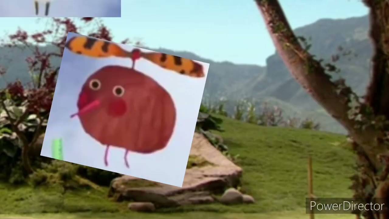 show me show me birds nara special 4 - YouTube