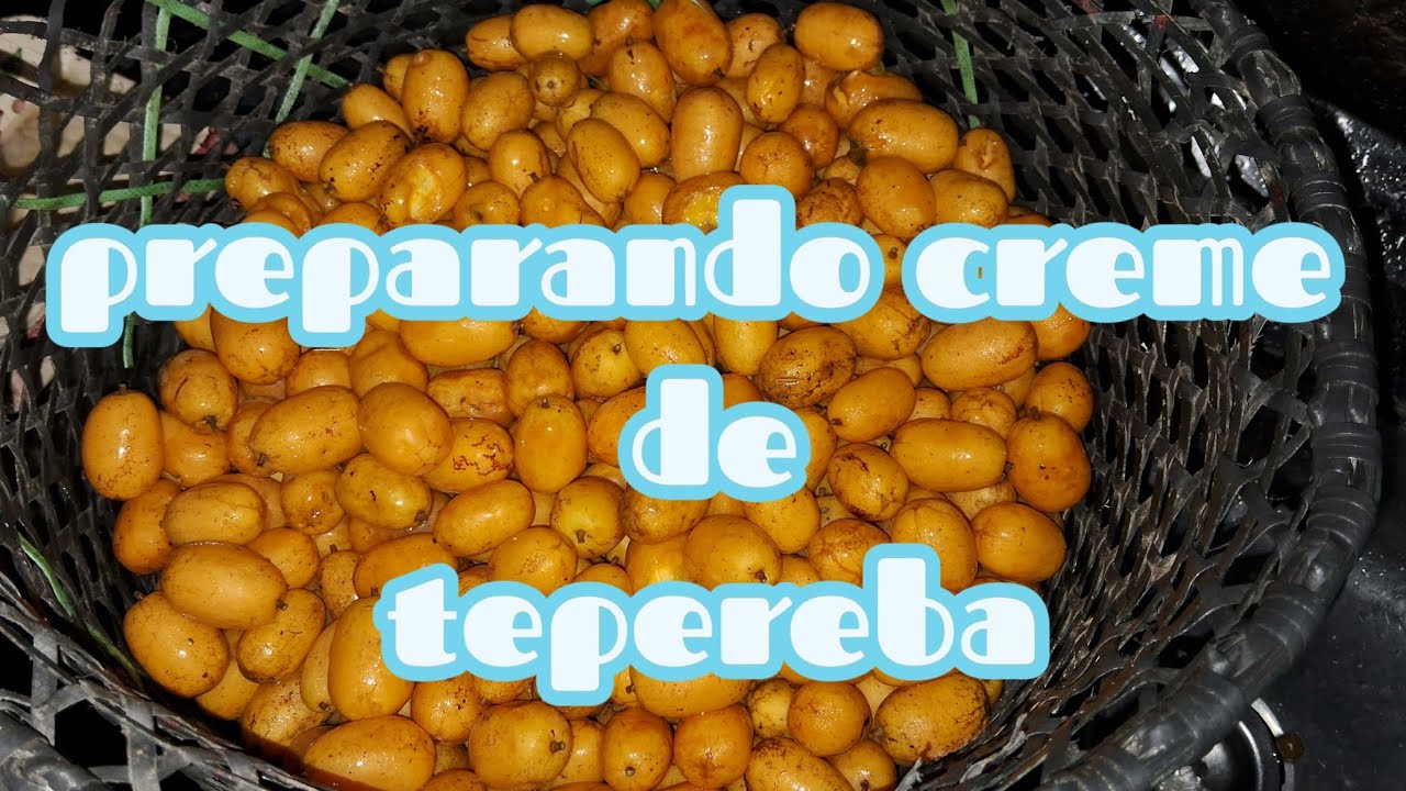 preparando um creme da fruta de tepereba#culinaria#preparo - YouTube
