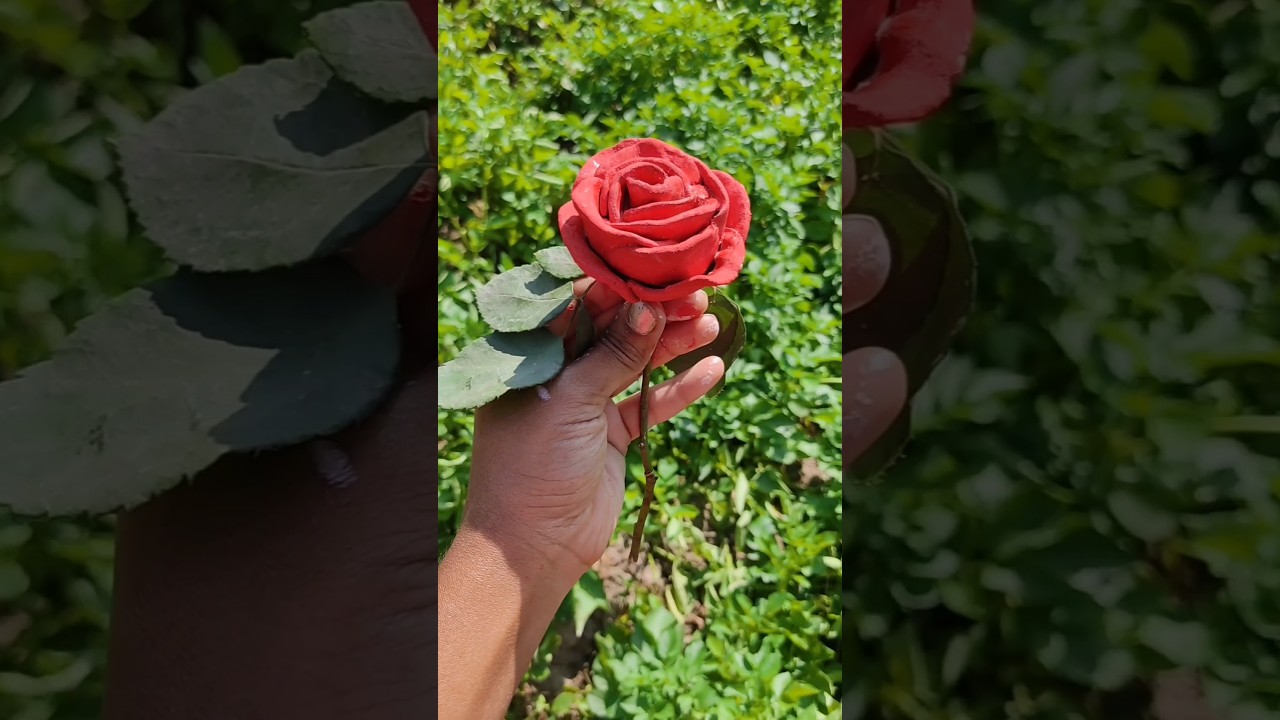 Rose Day Special মাটি দিয়ে লাল গোলাপ বানালাম।#shorts #craft #clay #diy ...