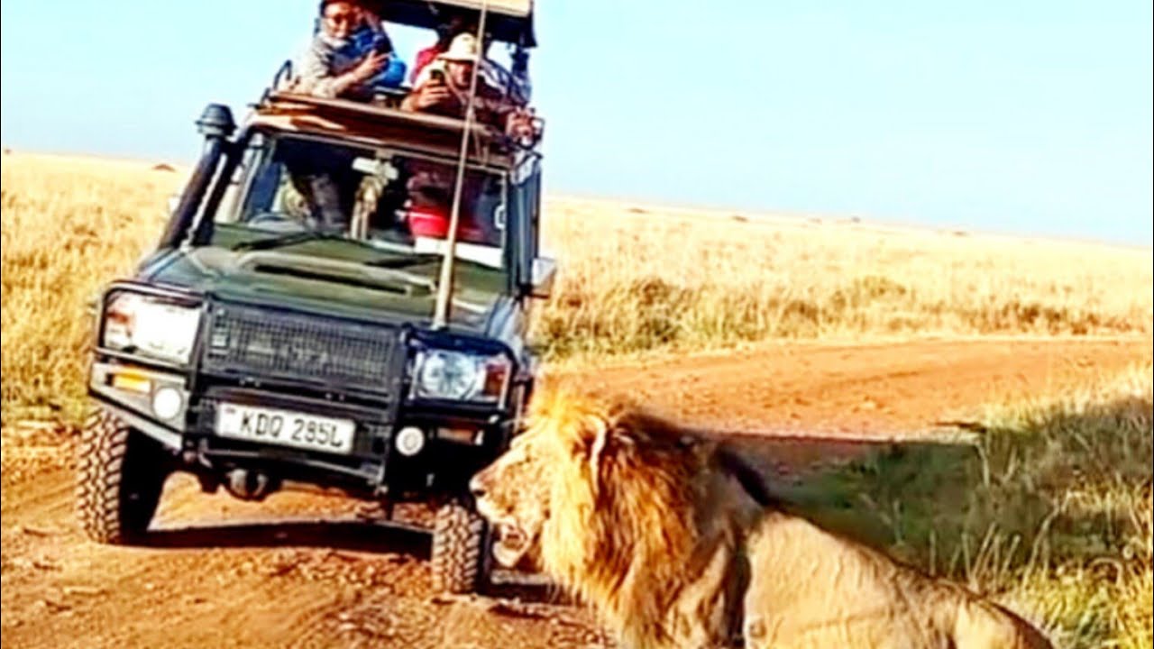 Adventure Team Building With Dynamic Women Group - YouTube