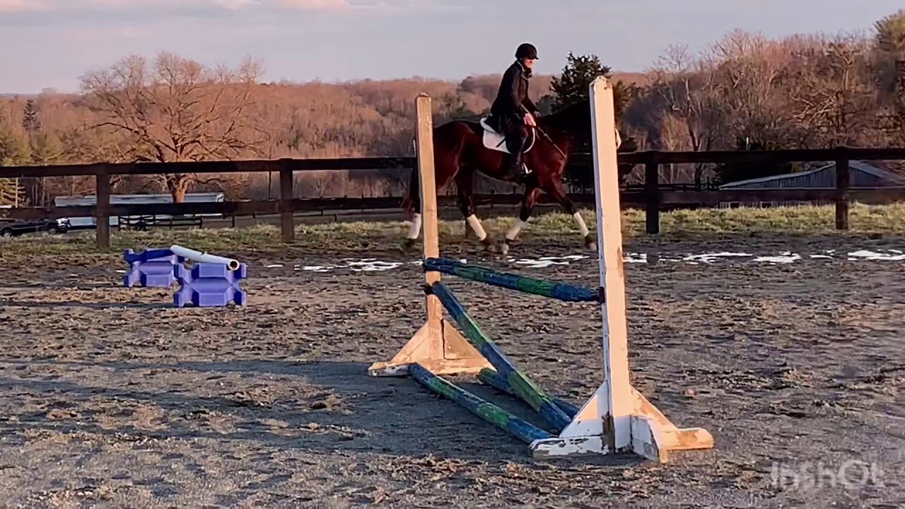 Sold - Flash - 1st Ride off the Track - YouTube