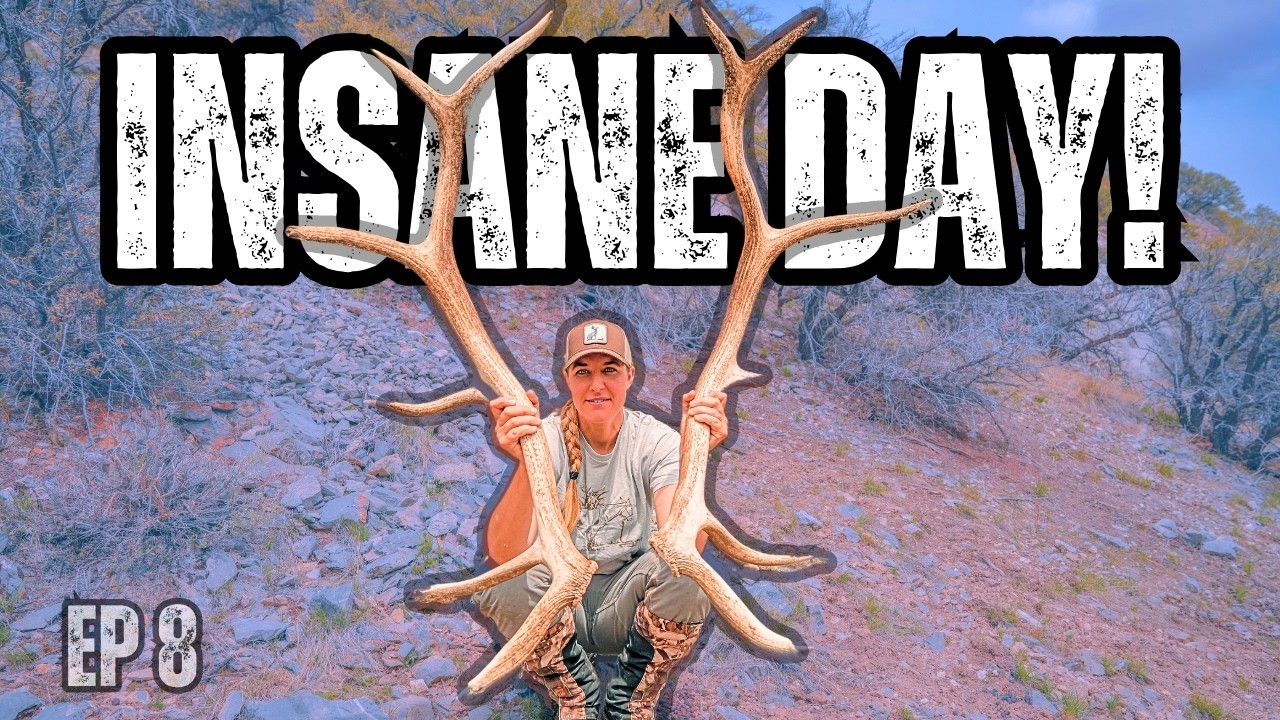 Finding MASSIVE Hidden Elk Antlers in a Secret Mountain Spot! - YouTube