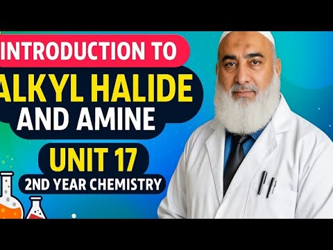 "Introduction to Alkyl Halides | Chapter 17 Class 12 Organic Chemistry ...