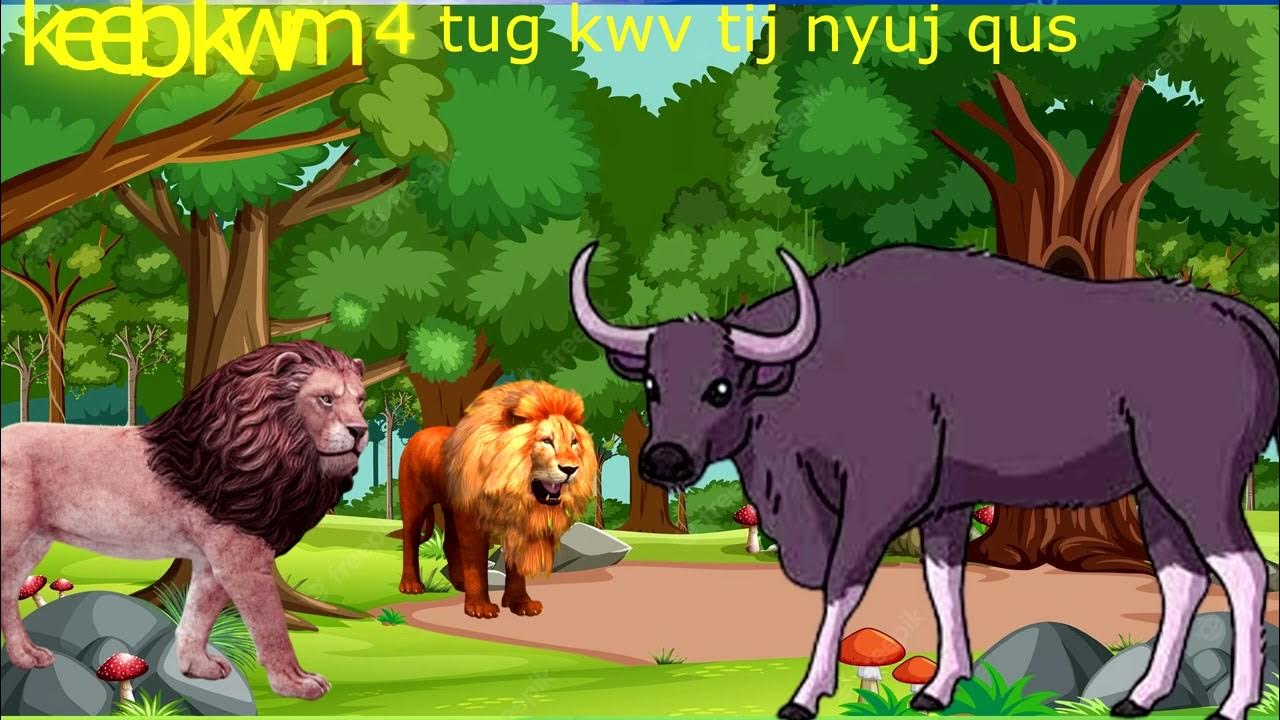 dab neeg keeb kwm plaub tug kwv tij nyuj qus thaum tseem koom siab khov li ca 2022 10 12 - YouTube