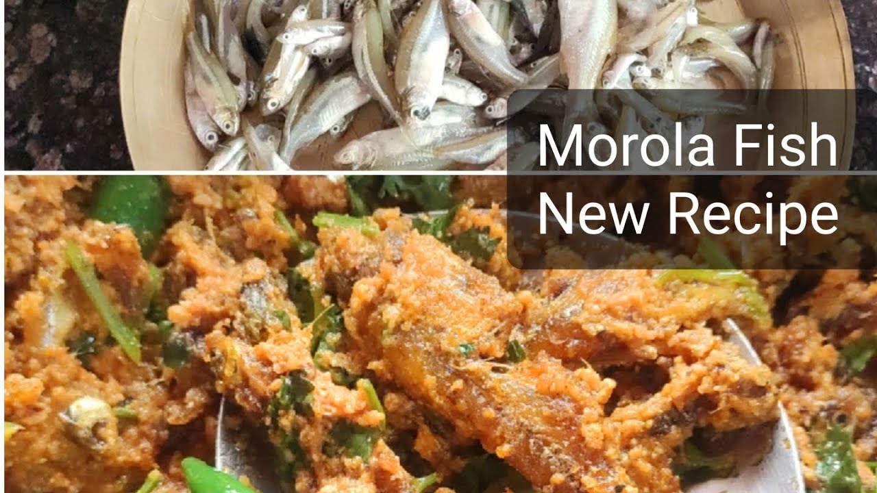 Morola Fish New Recipe/ Morola Fish with Mustard Seeds Recipe in ...