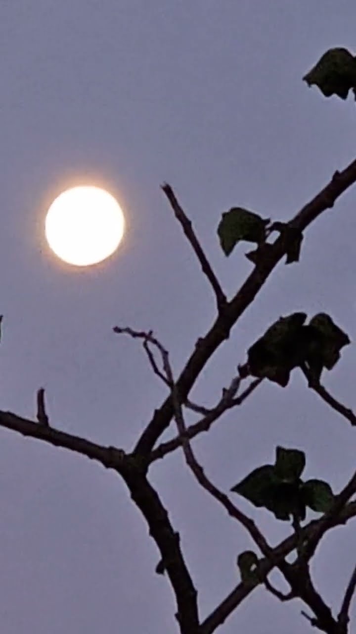 Bright FULL MOON out tonight. - YouTube