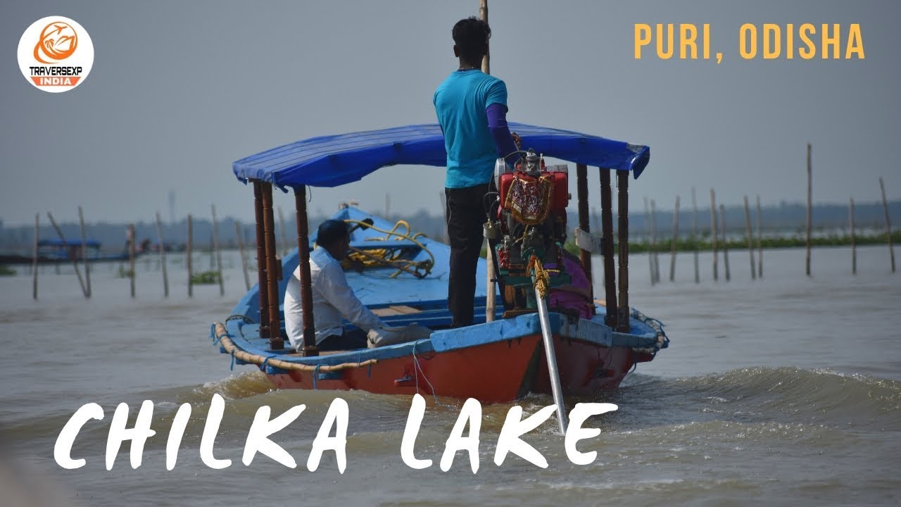 Chilka Lake in Puri | Odisha | Chilka Jheel | Chilka Lake Bird ...