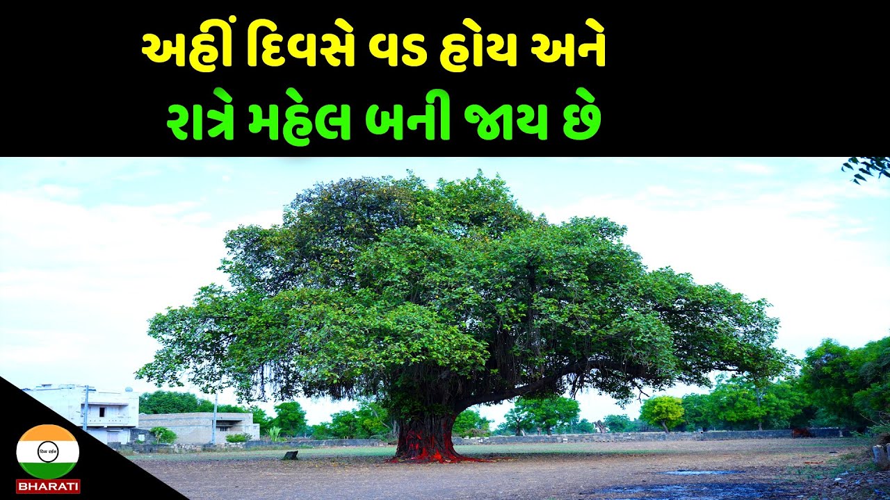 વિર માંગડાવાળા ની જગ્યા ના સંપૂર્ણ દર્શન અને માહિતી - Vir Mangda Vala ...