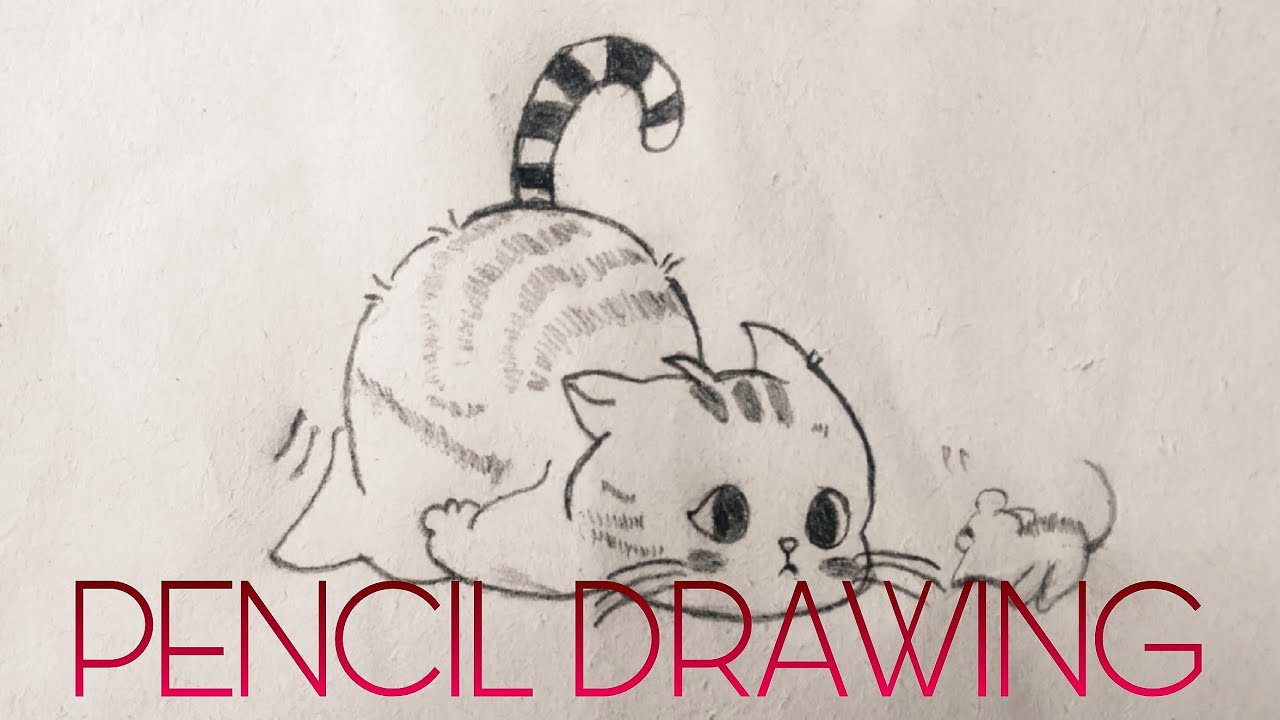 How To Draw A Rat And Cat Sketch - Step By Step For Beginners | Pencil ...