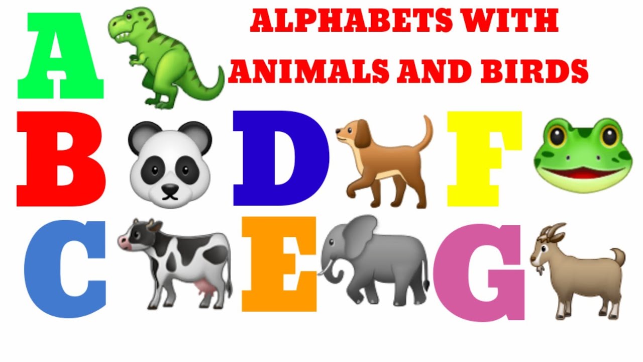ABCD, english alphabet with animals and birds name,ABCD kids video, Abc ...