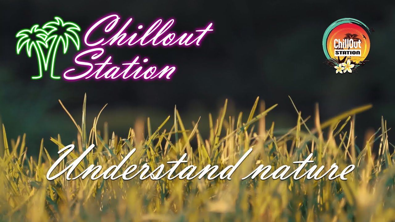 Chillout Station - Understand nature - Relaxing Ambient Piano Music ...