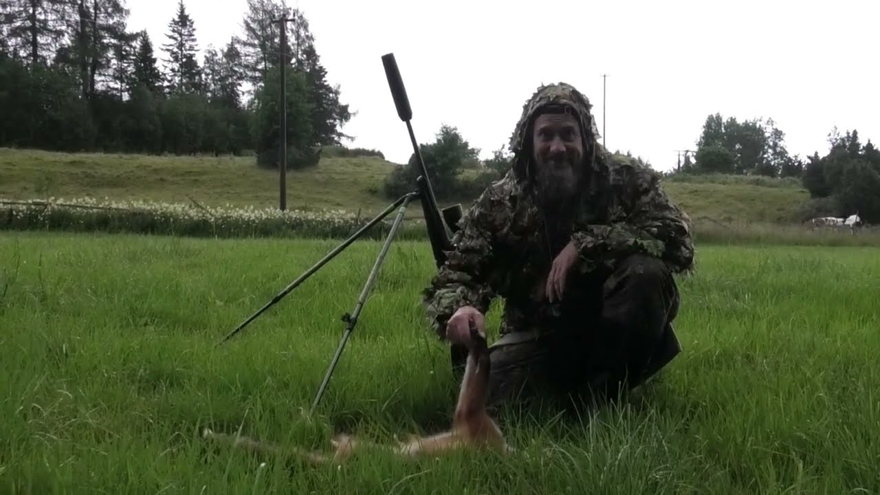 Lokkejakt på rev, Fox Calling, Rävjakt, Revejakt, predatorhunt, - YouTube