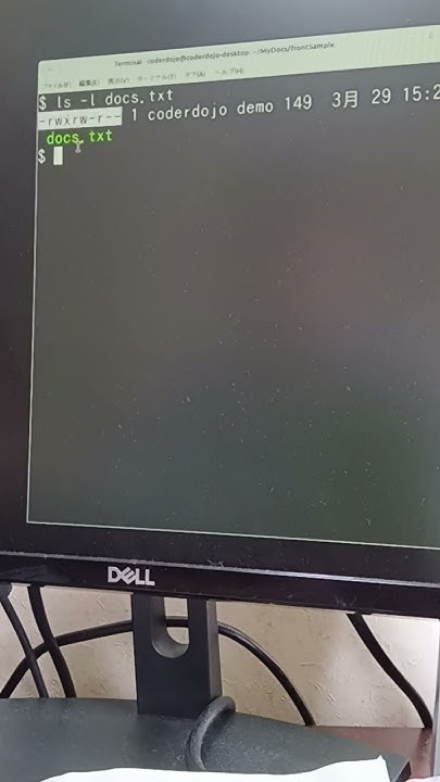 chmodコマンドでパーミッション変更〜リナックスコマンドを叩く〜 #coderdojo #command #excel #linuxcommandlinetutorial #windows ...