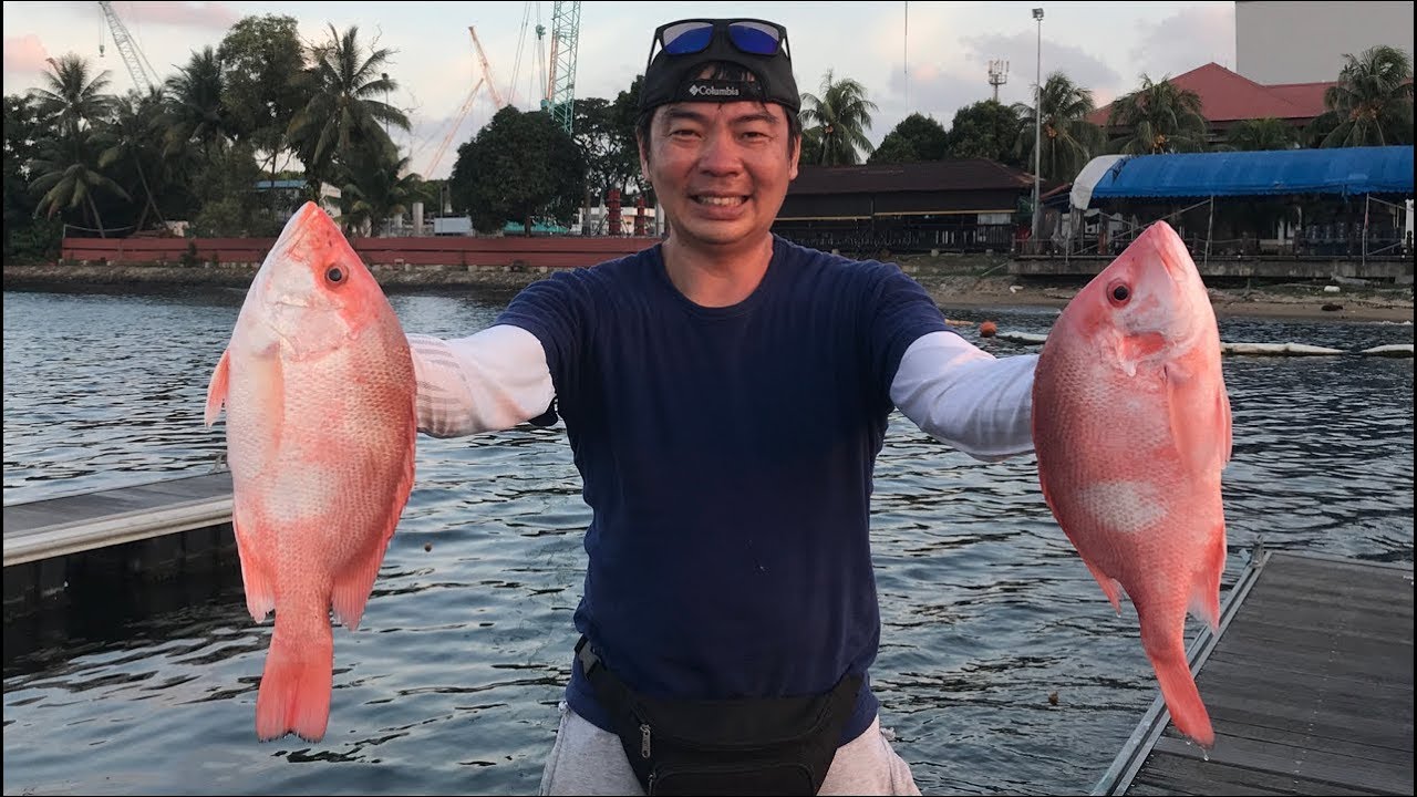 Catching Red Snappers on The Fish Whisperer! - YouTube