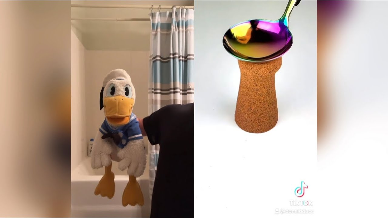 Donald Ducc Reacts To Satisfying TikToks 2 (DO NOT LAUGH CHALLENGE ...