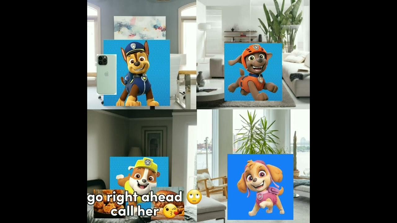 2 minutes of paw patrol zoom meeting skits i made with capcut templates ...