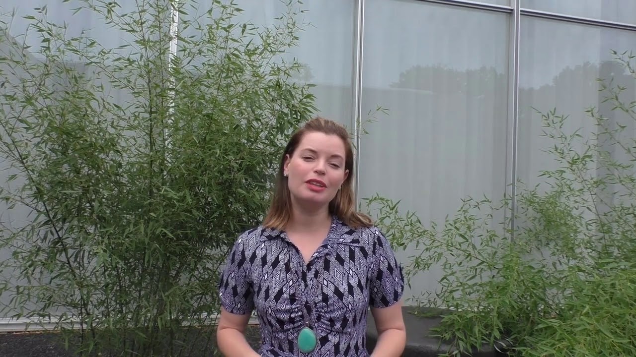 Jennifer Dasal Juror Final - YouTube