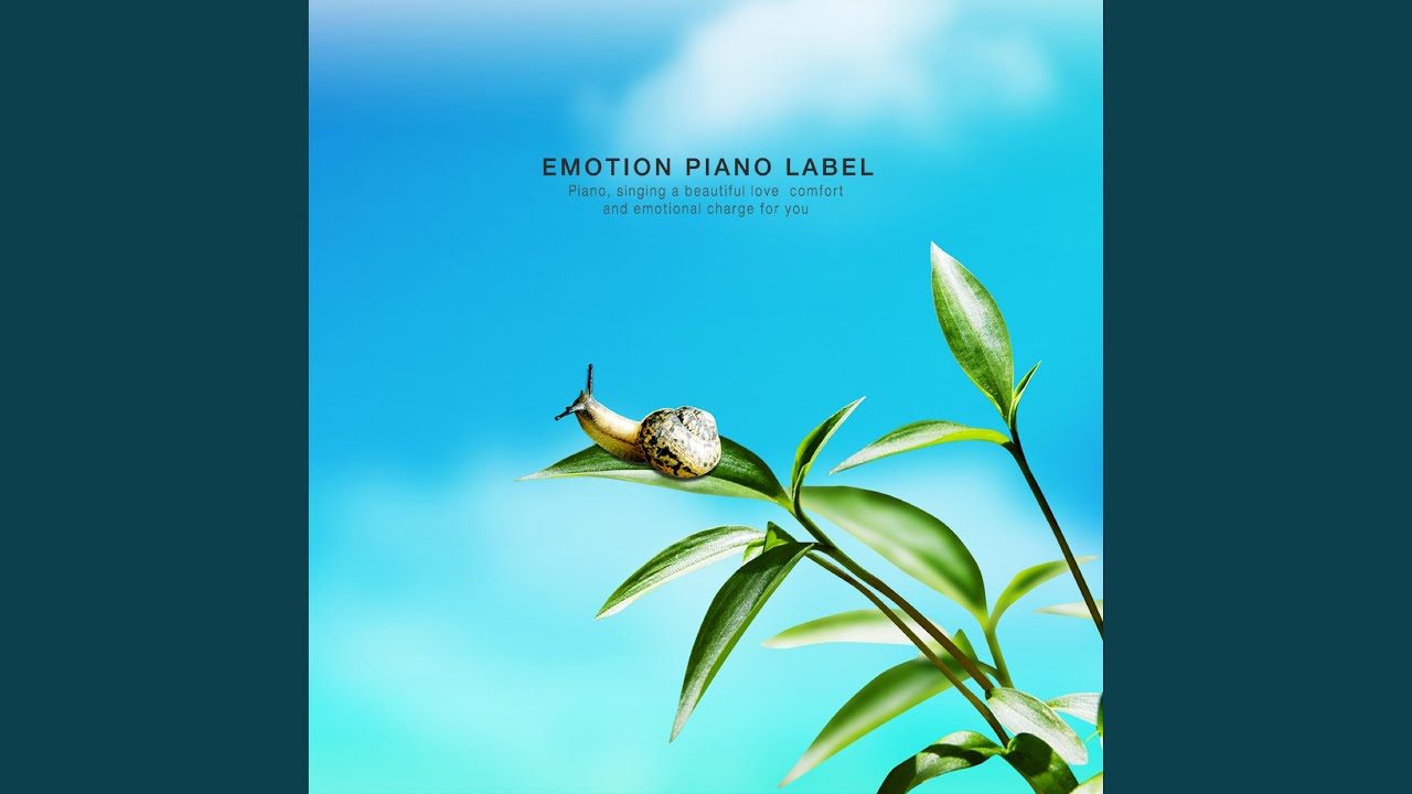 Sometimes I Fall - YouTube