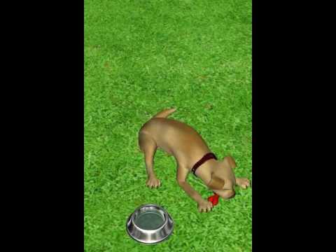 Talking John dog - YouTube