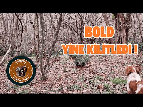 Çulluk Avı Trakya  Sezondan Seçmeler  | Woodcock Shot | Beccaccia Hunting Action