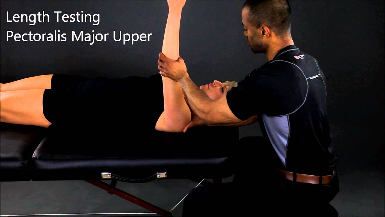 Pectoralis Major Upper Length - YouTube