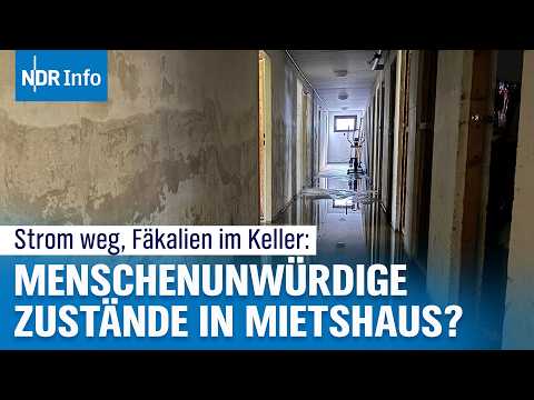 Mieter in Not: Bewohner flüchten aus Elmshorner \