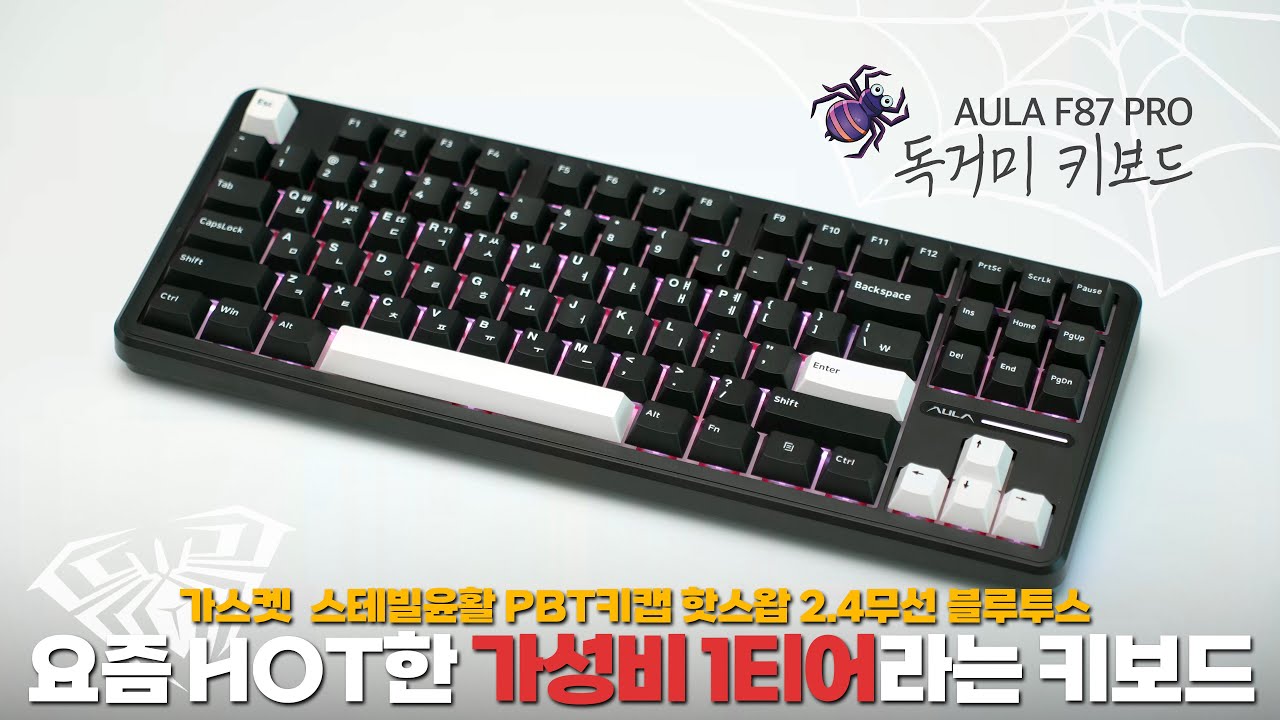 가성비 1티어로 hot한 독거미 키보드 가져왔습니다. 도대체 뭐가 좋아서 1티어일까? aula 87 pro 리뷰 [4k ...