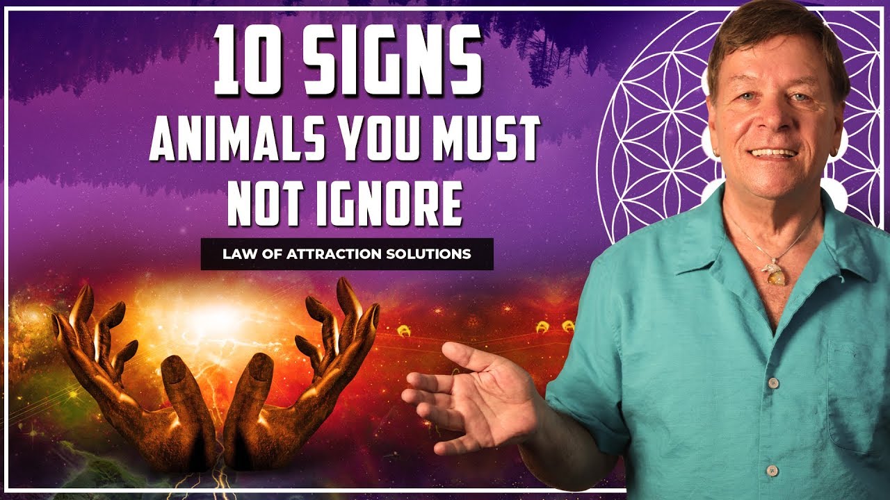10 Signs - Animals You Must Not Ignore - Totem Spirit Animal Messages ...