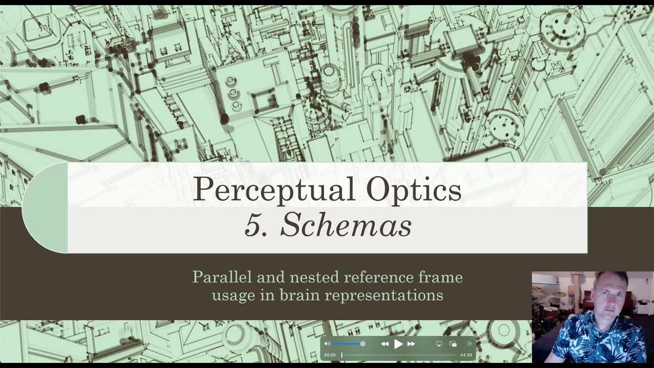 Perceptual Optics - 5. Schemas (Brain Info Grouped by Perceptual Realm ...