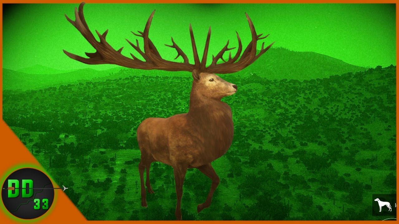 Continuing The Great One Red Deer Hunt! Call Of The Wild - YouTube