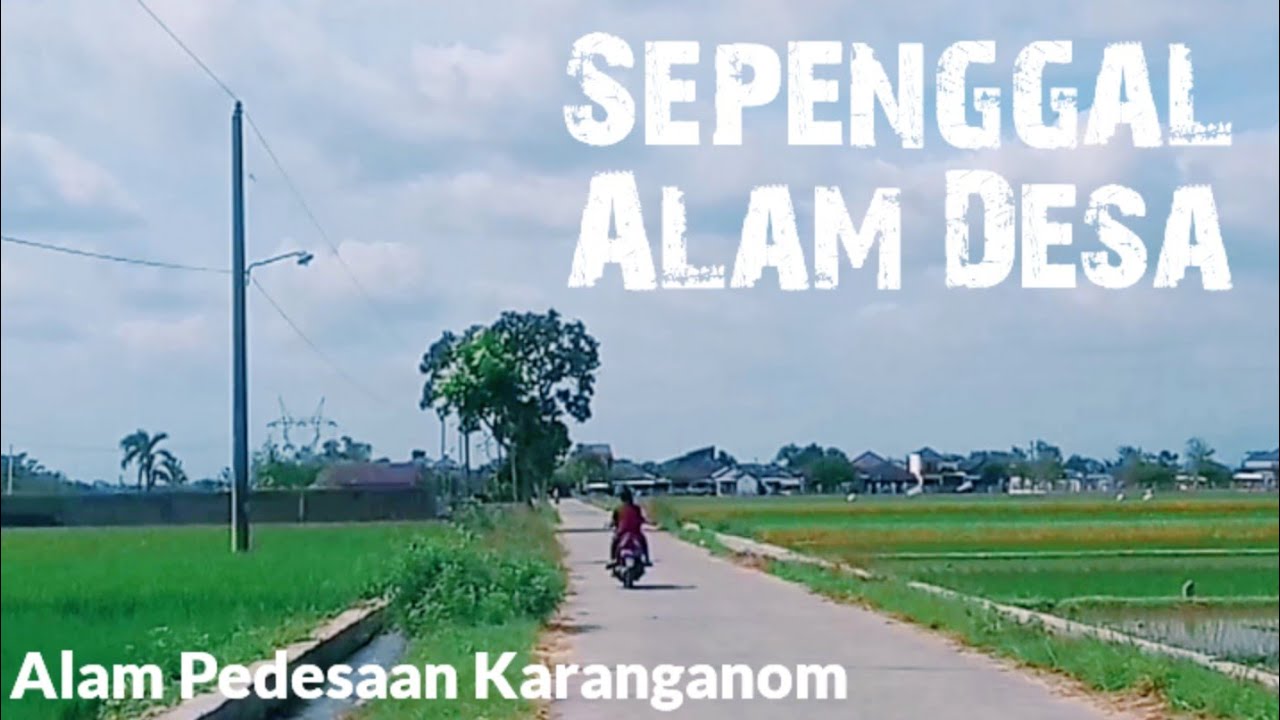 Nature Around | Sepenggal Alam Desa | Menikmati Keindahan Alam Sekitar ...