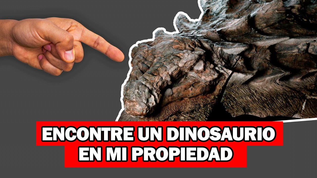 "Que pasa si encuentras un Dinosaurio en tu propiedad" 😱 - YouTube