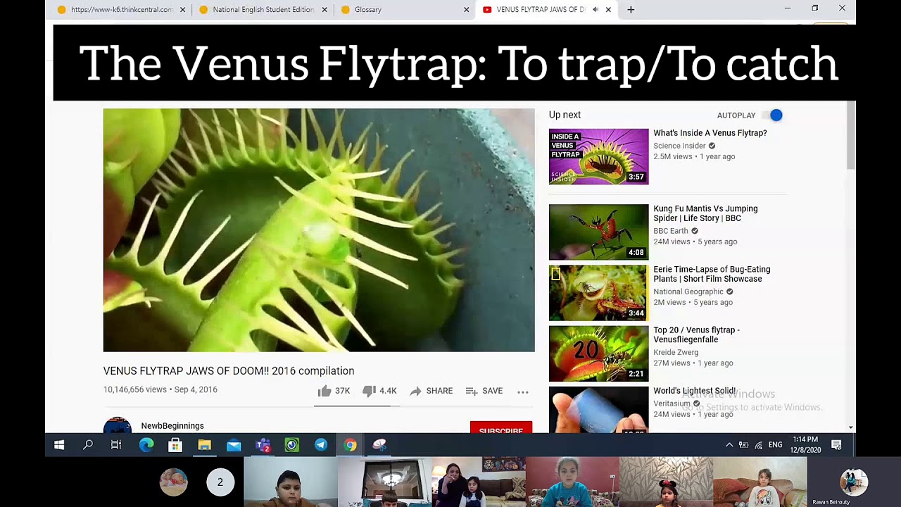 The Mysterious Plant - Venus Flytrap - Life Science - Grade 1 - YouTube