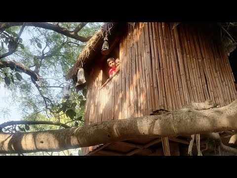 Video / Rain video / Rain sound / Raining video/ Nature video / natural ...