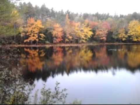 Autumn Scenes - YouTube