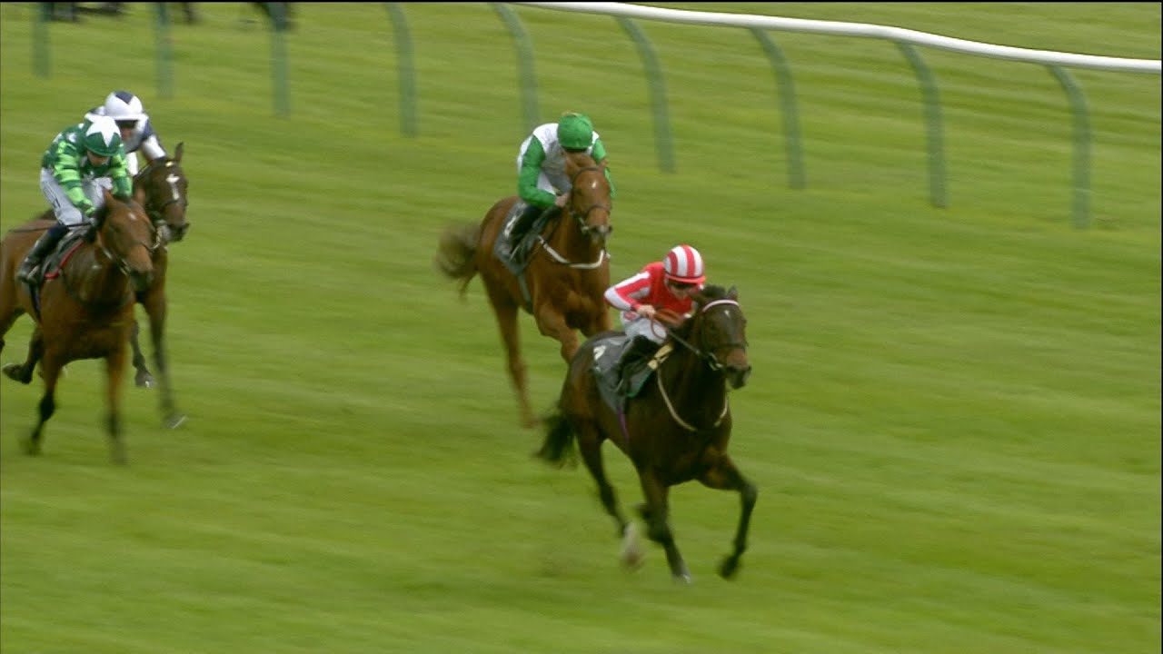 Royal Ascot contender? Army Ethos impresses on debut with this easy ...