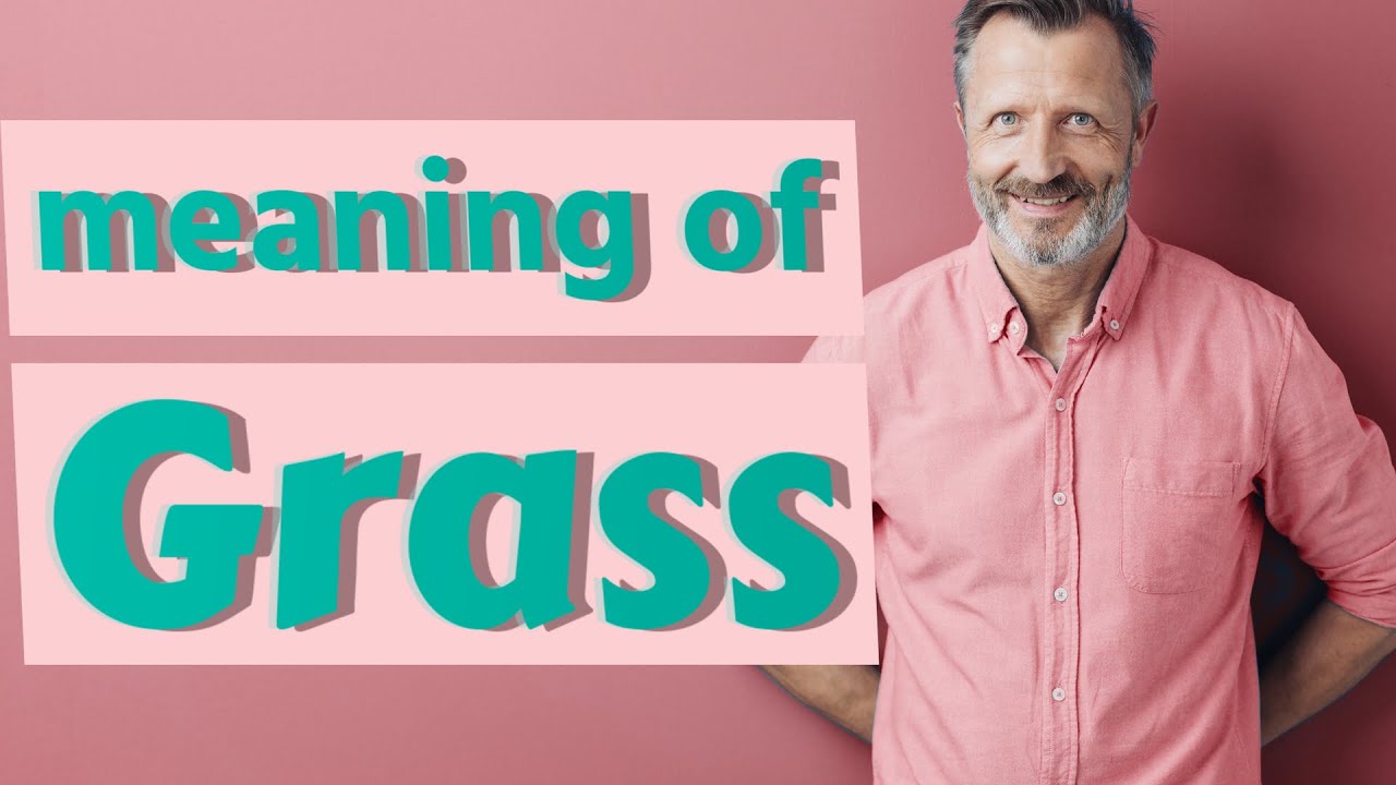 Grass Meaning Of Grass YouTube grass-meaning-of-grass-youtube