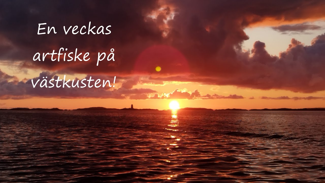 Artjakt under en vecka! - YouTube