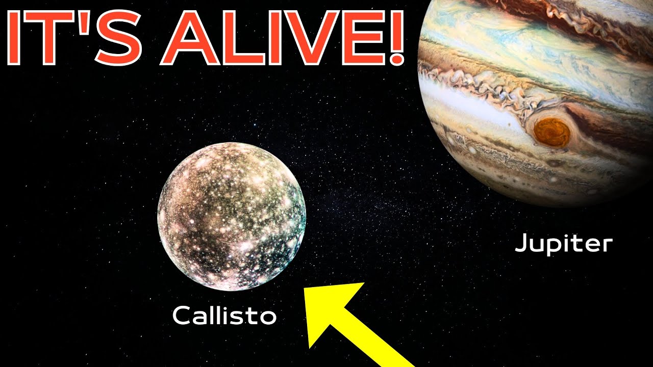 Shocking! New Study Reveals that Jupiter’s Moon Callisto Has Alien Life ...