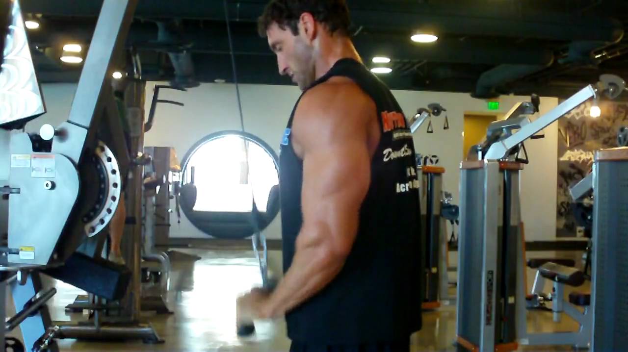 Shoulder and Arm Workout #1 with Ian Lauer CSCS - YouTube