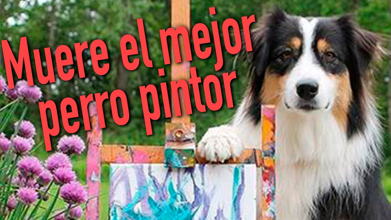 ¿Era buen pintor el MEJOR perro-pintor del MUNDO? - YouTube