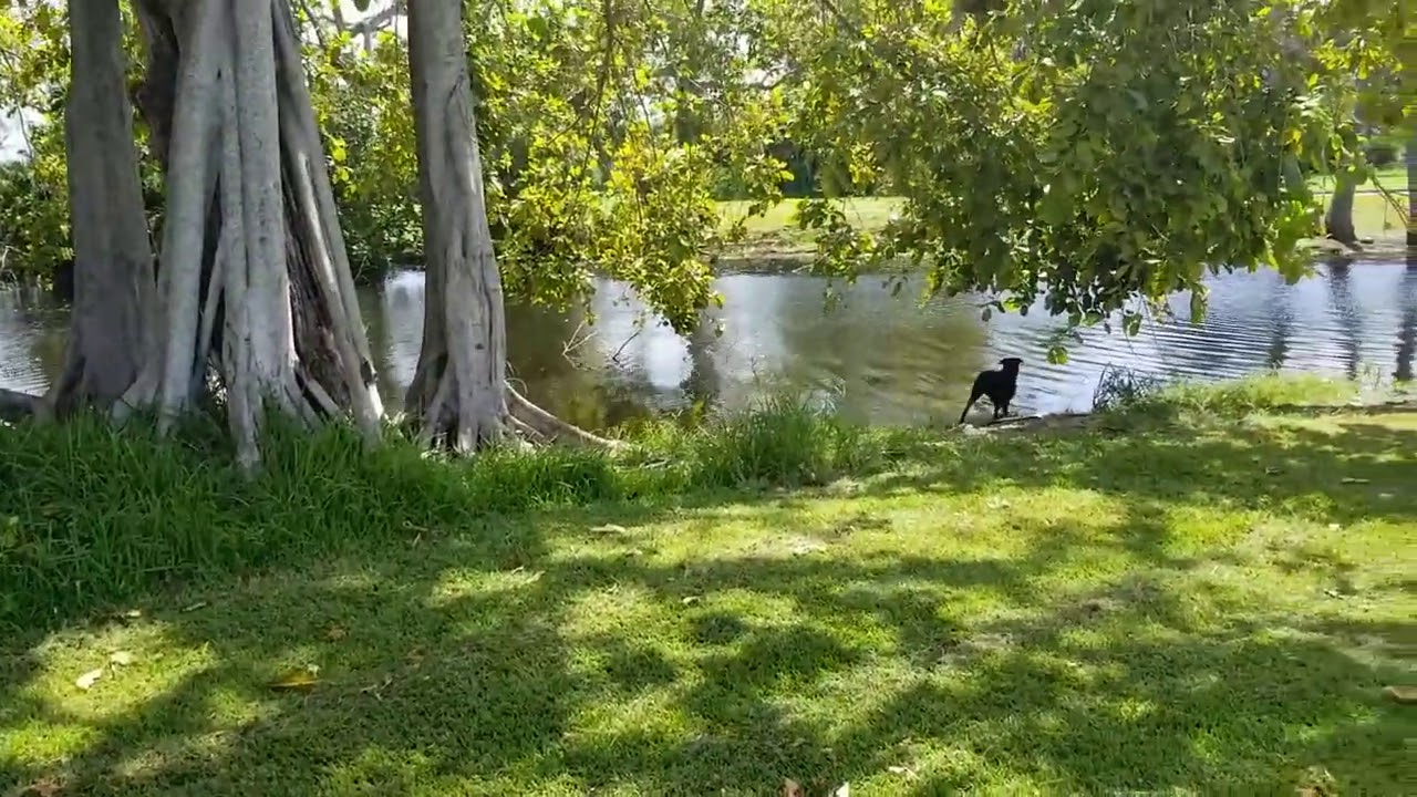 August 27 2020 YouTube august-27-2020-youtube