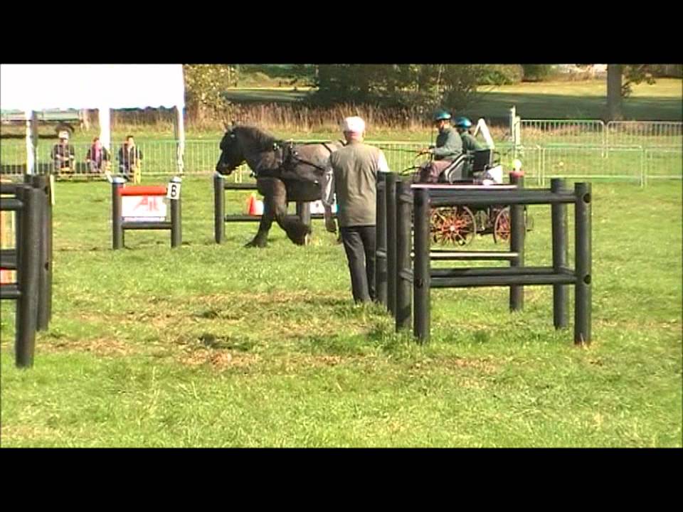 DKT - Alain Aerts - Vollezele - 16102011 - vaardigheid 1 - YouTube