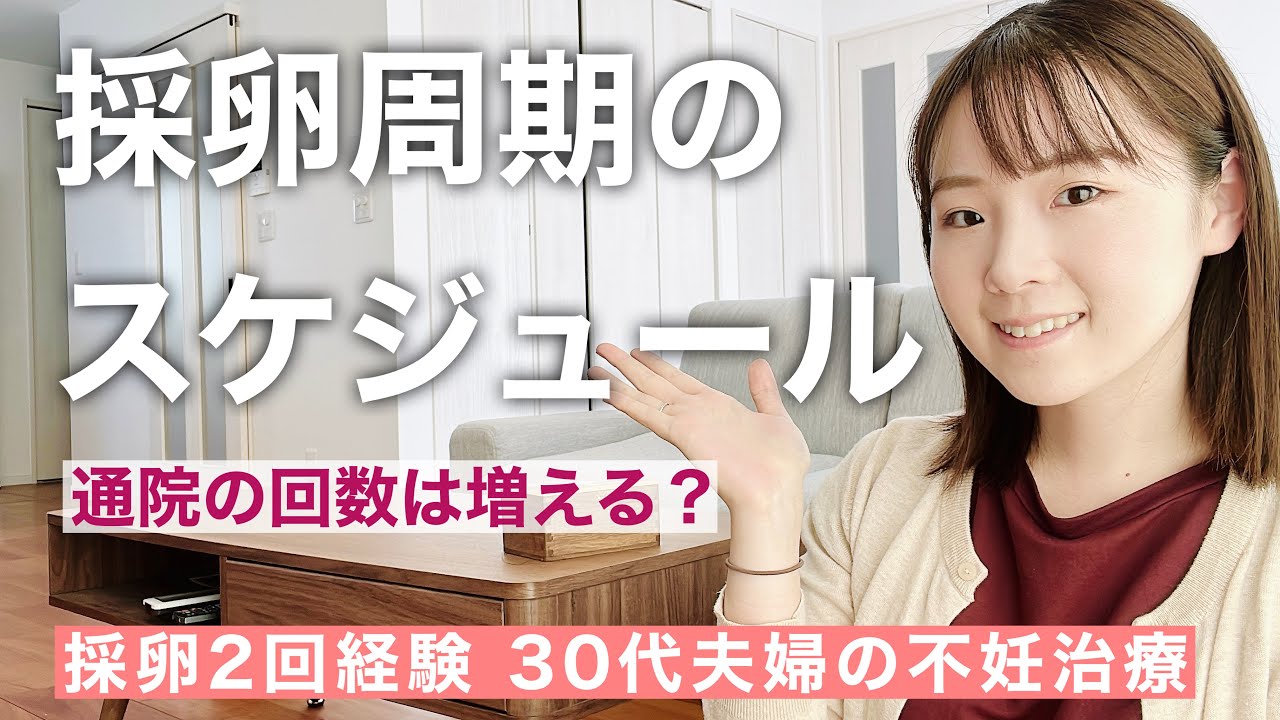 【不妊治療 70】採卵周期のスケジュールについて🌿通院回数や自己注射・30代の不妊治療 Youtube
