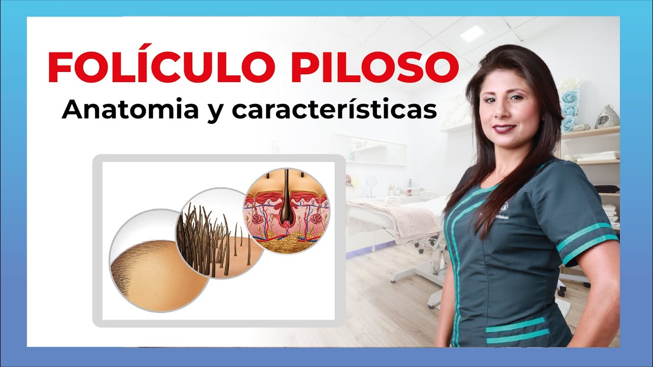 ¿qué Es La Anatomía De Los Folículos Pilosos Aprende Los Cuidados Específicos Estetica