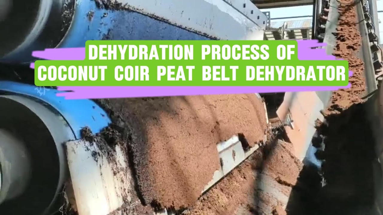 Dehydration process of coconut coir peat belt dehydrator - YouTube